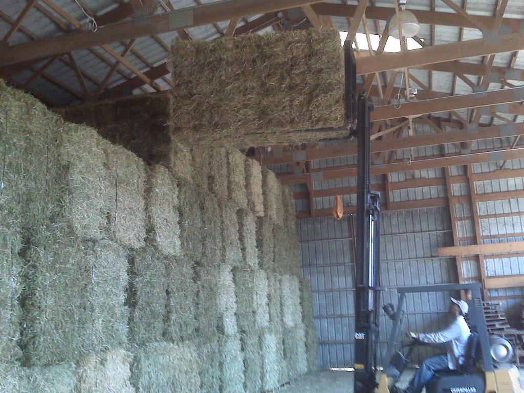 Low Carb & Low Sugar Hay | Warrenville, IL | Galusha Farm