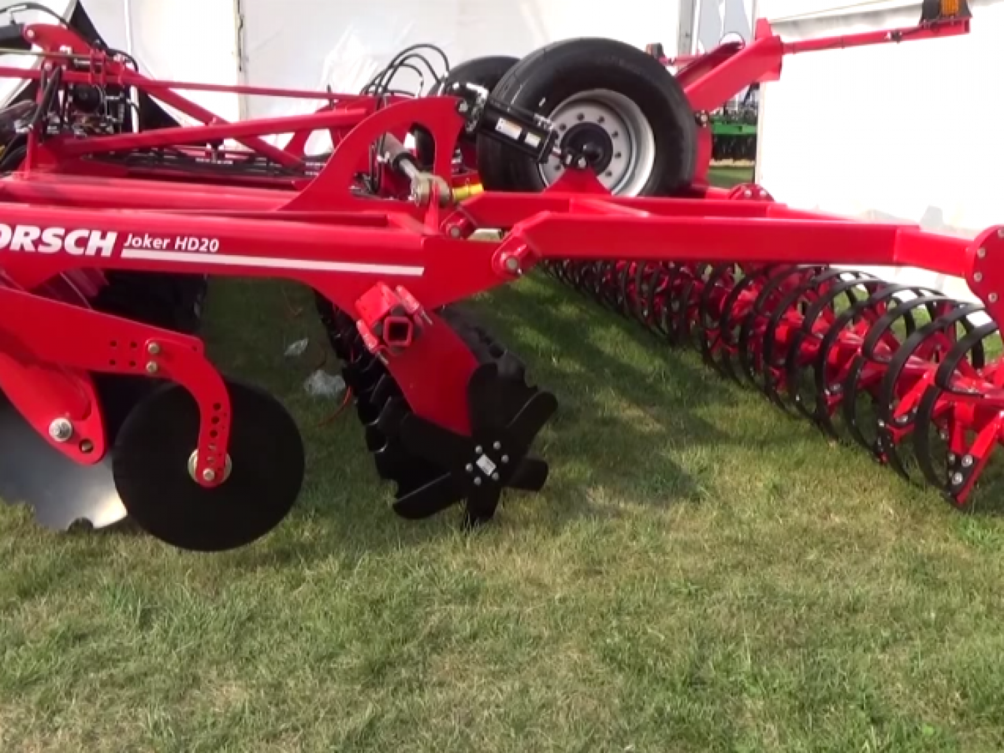 The Joker | Galusha Farm