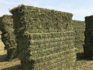 Hay & Straw For Sale | Warrenville, IL | Galusha Farm